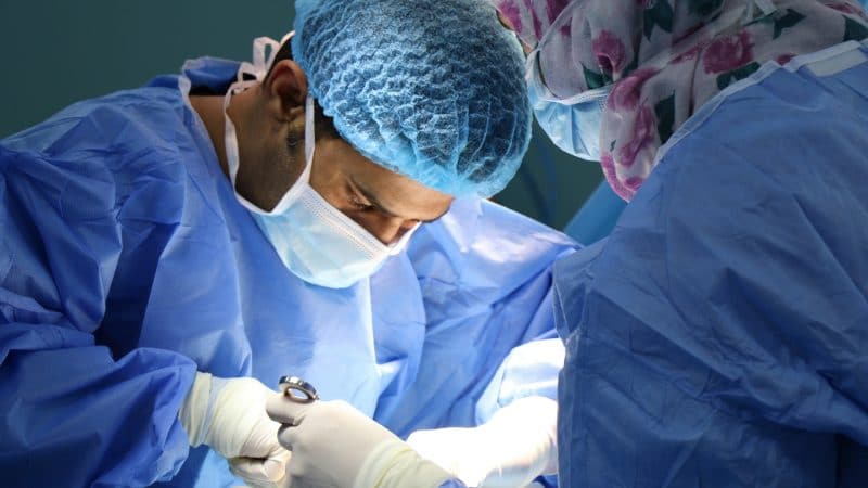 48 Life-Saving Organ Donation Statistics & Facts for 2024